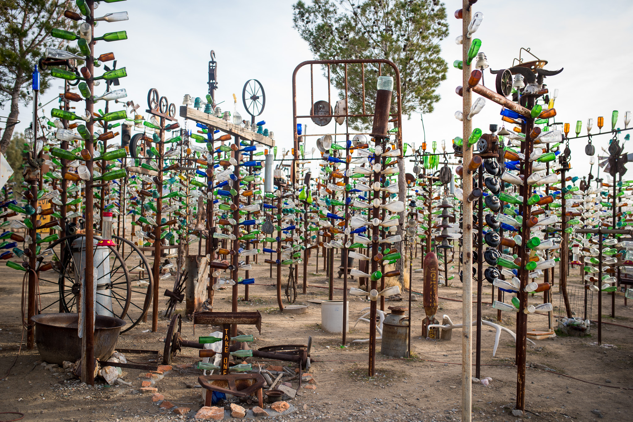 Elmer's Bottle Tree Ranch | OurLittleLifestyle